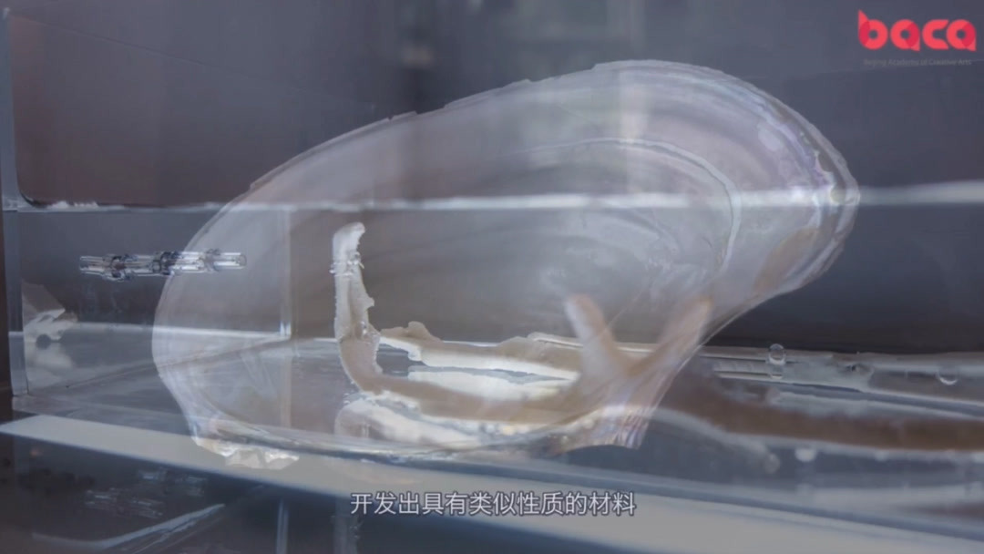 伦艺师姐艺术小课堂06-细菌在生物设计中的应用(一)