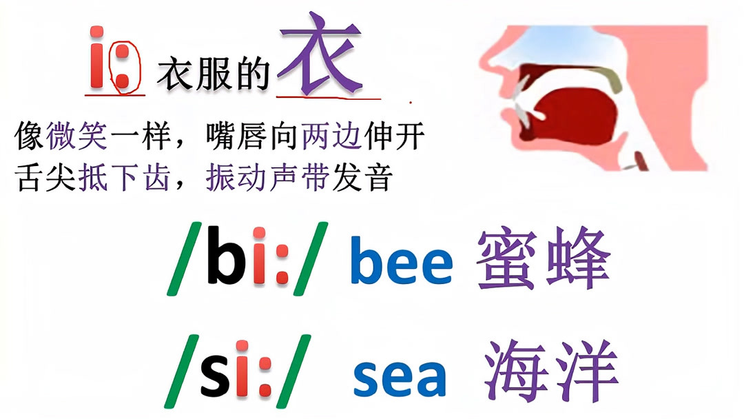 48个英语音标发音教学,学习元音,3分钟学一遍