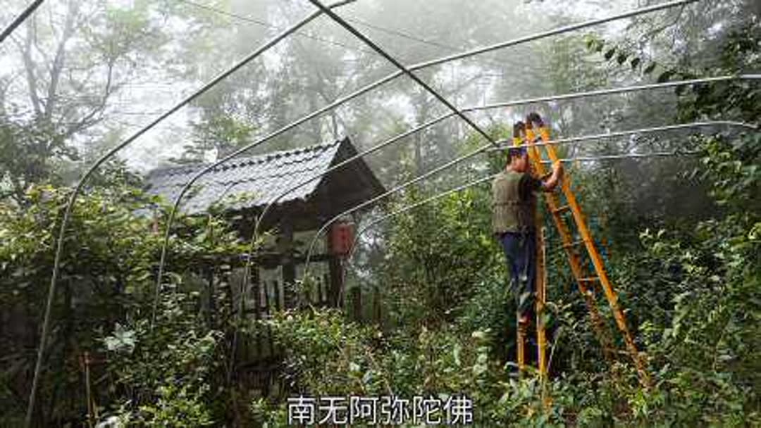 一个人搭建一座大棚,完全可以,过程就是这样子,欢迎大家来围观