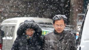 24秒|2019北京新年倒计时 共赴冰雪之约