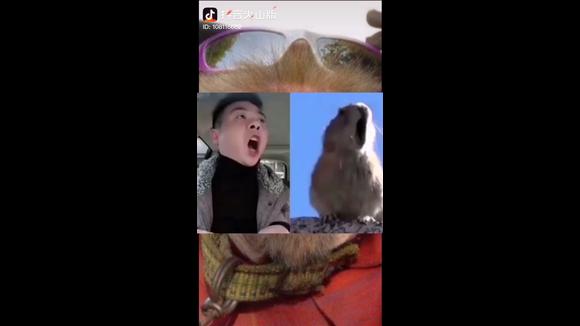 模仿这么像,可以当演员了