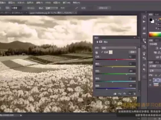 PS教程林清张老师基础全集教程: B&W 黑白图像与蒙版结合