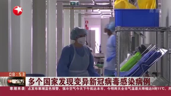 多个国家发现变异新冠病毒感染病例