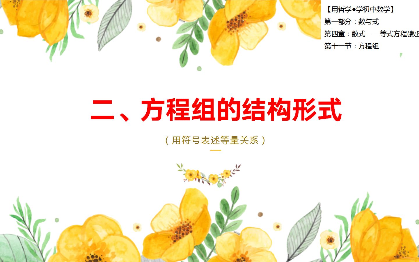 【哲学初中数学】1-4-11数与式:等式方程:方程组(2)