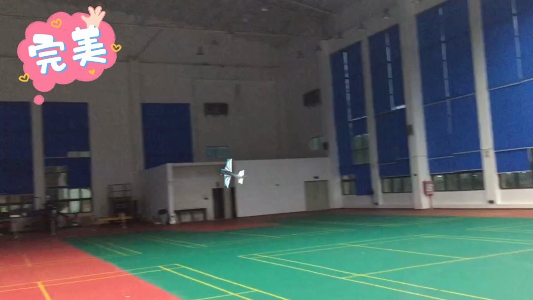 3D特技航模飞行表演精彩绝伦