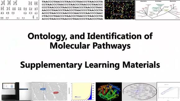 北京大学生物信息学:55.06,数据库系统简介