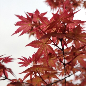 冬日暖阳热恋时 