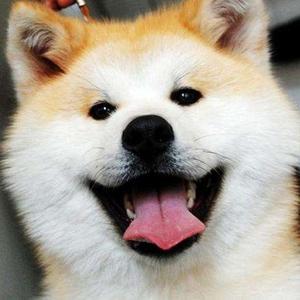 补疯捉影 