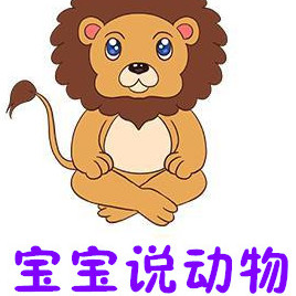 宝宝说动物 