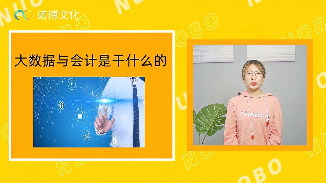 大数据与会计是干什么的
