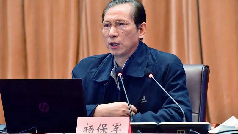 杨保军:住房和城乡建设部总经济师