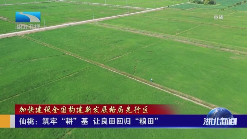 [湖北新闻]加快建设全国构建新发展格局先行区 仙桃:筑牢“耕”基 让...