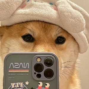 热闻网 