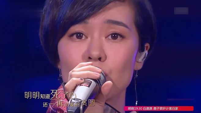 经典音乐精彩合集48