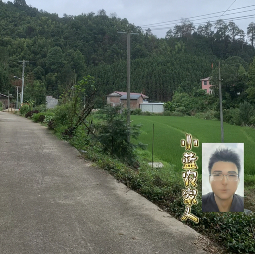 农家人小蓝 
