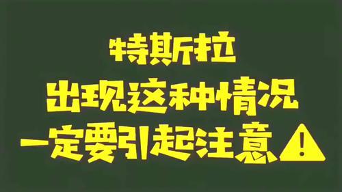 特斯拉车主新发现,特斯拉还可以有这操作