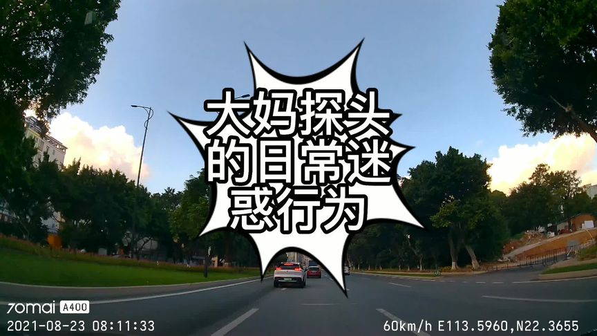 #交通安全 #行人乱穿马路