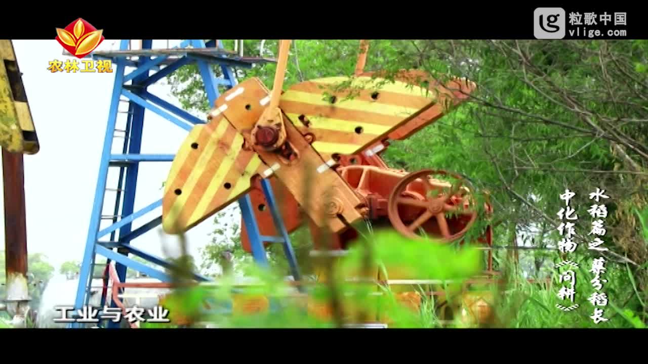 问耕水稻篇之蘖分稻长