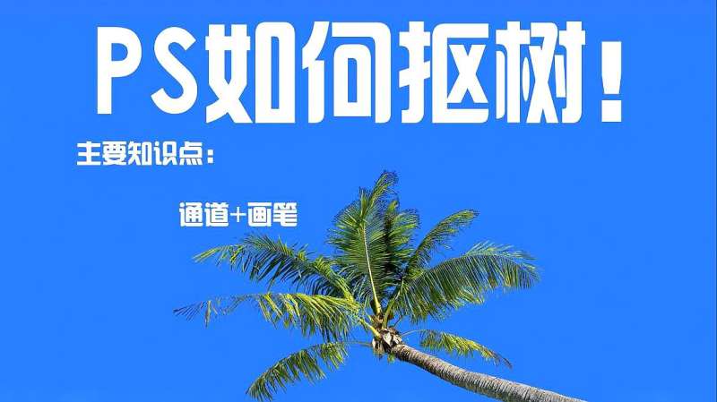 PS如何抠树的小技巧!