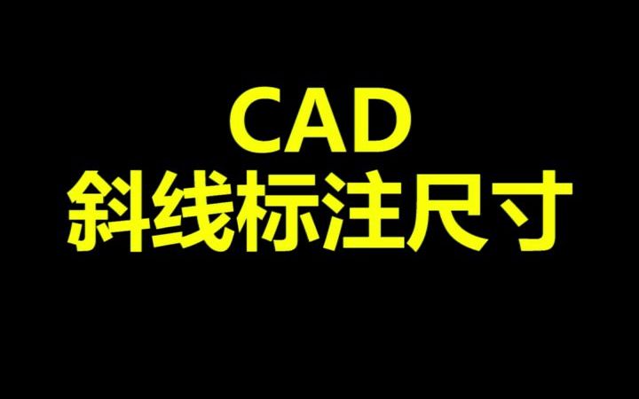 CAD斜线标注尺寸