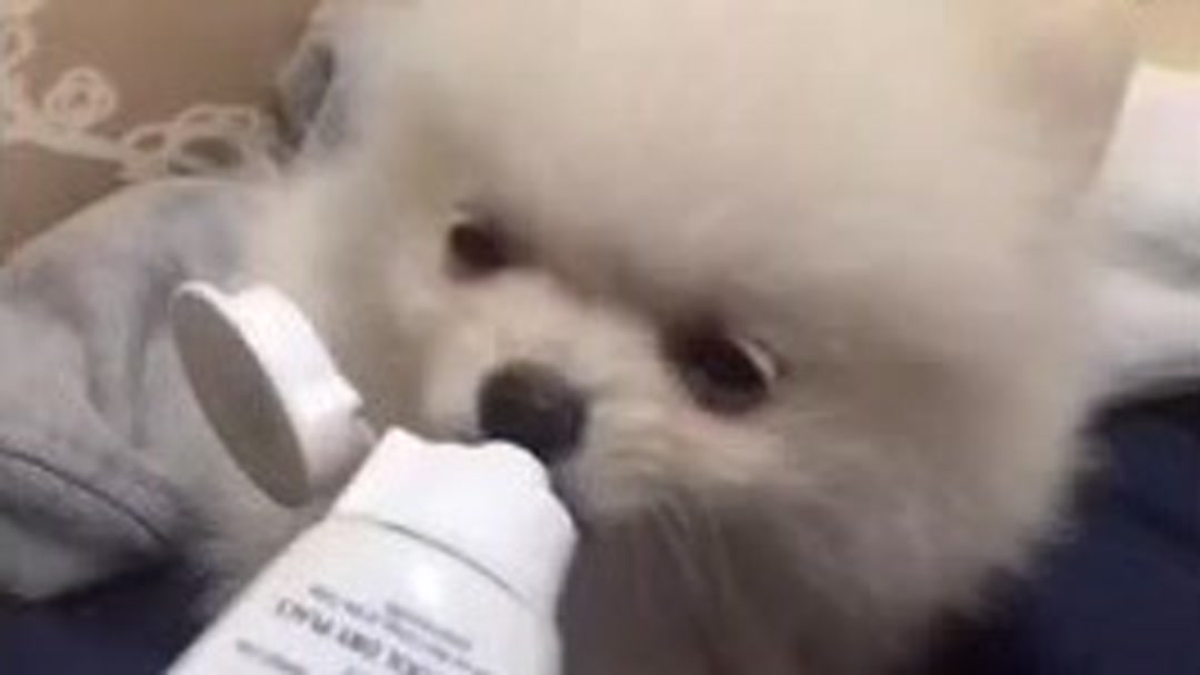 ...的表情,可爱的不要不要的～[太开心][太开心][爱你] #微博搞笑排行榜单