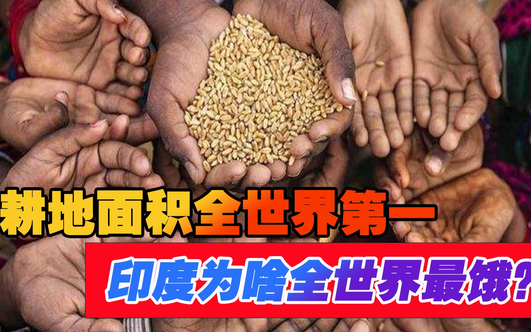 耕地面积全球第一,印度为啥还是全世界“最饿”?