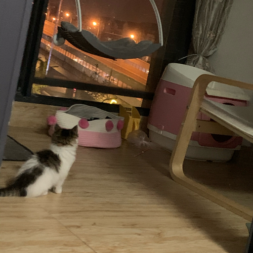 表弟你又在喂鱼 