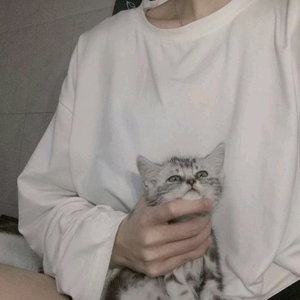 柠檬果汁 