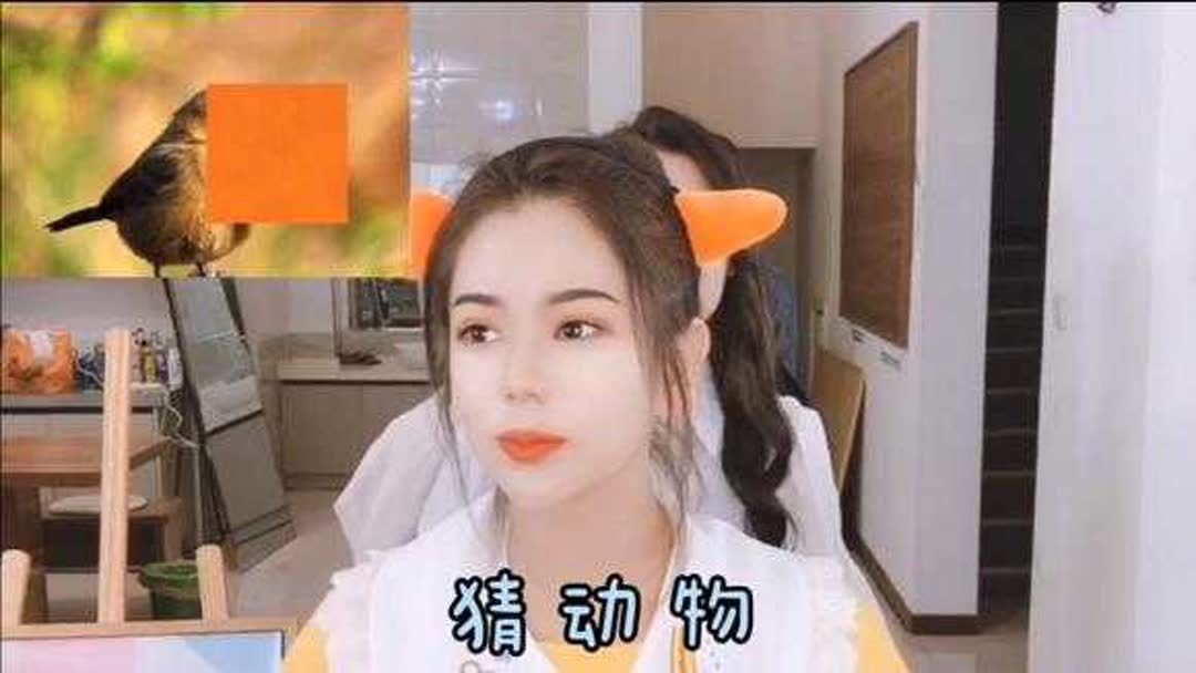 猜动物!这是人干的事吗?拿这种图让我们猜!