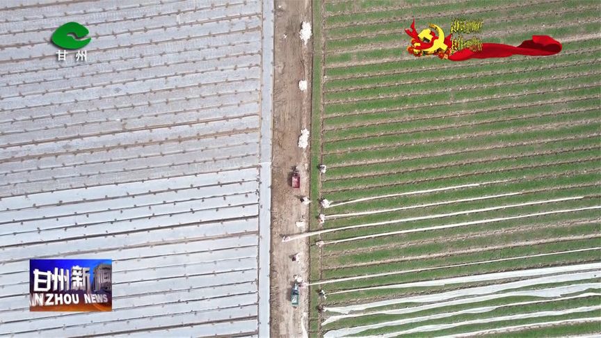 甘州区2022年春季阶段4.9万亩高标准农田建设项目全部完工