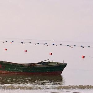 天南地北鲁西人 