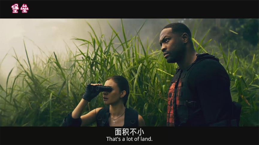 动作 犯罪影片,堡垒危机