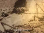 清华北大复旦招生宣传片曝光,孩子不想读书就给他看