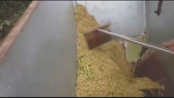 机器收割水稻全过程,操作方便,经济适用