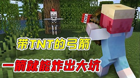 我的世界:奇奇怪怪的弓箭?能射出鸡蛋,还能让人超远距离传送!
