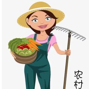 农村辣椒姐 