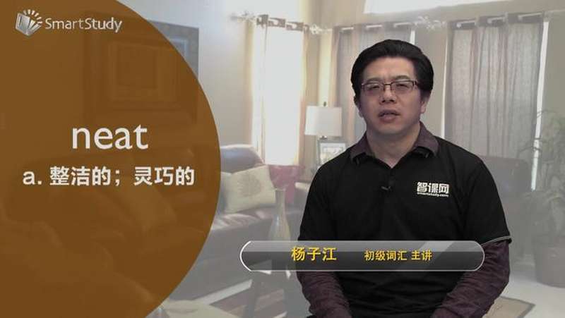 neat-单词讲解(释义、例句)