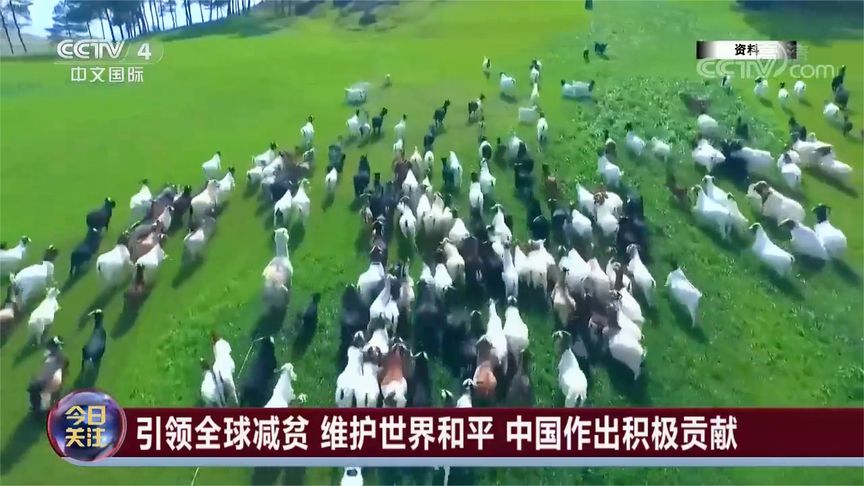 引领全球减贫 维护世界和平 中国作出积极贡献