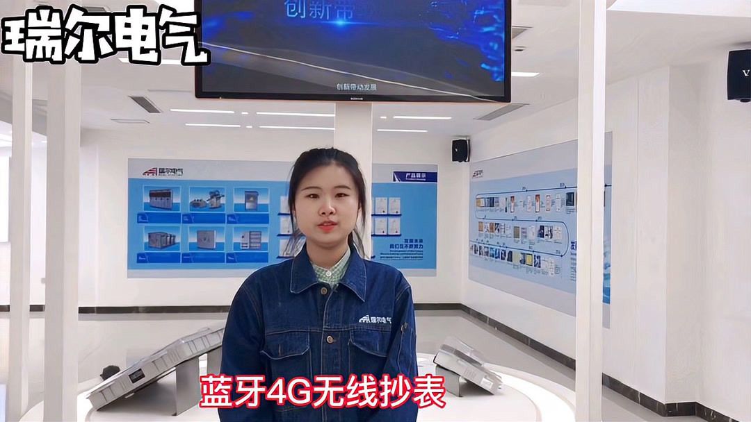 瑞尔电气电表箱知识讲解,第四代表箱“蓝牙4G无线抄表”