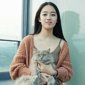 勤劳的小蜜蜂i 
