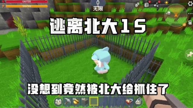 迷你世界:逃离北大全集15,没想到竟然被北大给抓住了