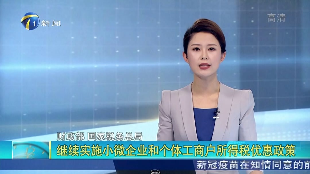 继续实施小微企业和个体工商户所得税优惠政策