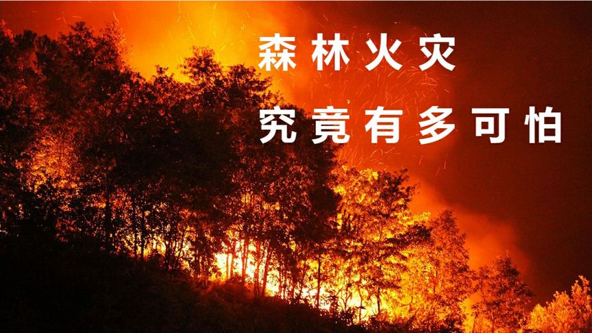 森林火灾究竟有多可怕