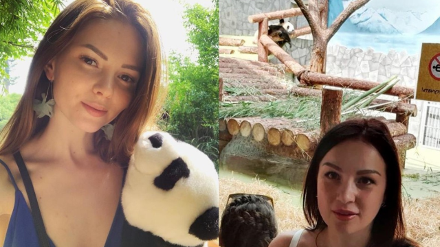 大熊猫远赴俄罗斯,战斗民族被迷得神魂颠倒,动物园直接爆满