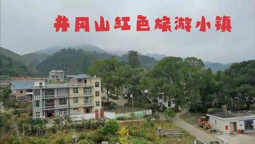 优美旅游小镇,有位大哥工作调动,转让自建大楼房,请网友来定价