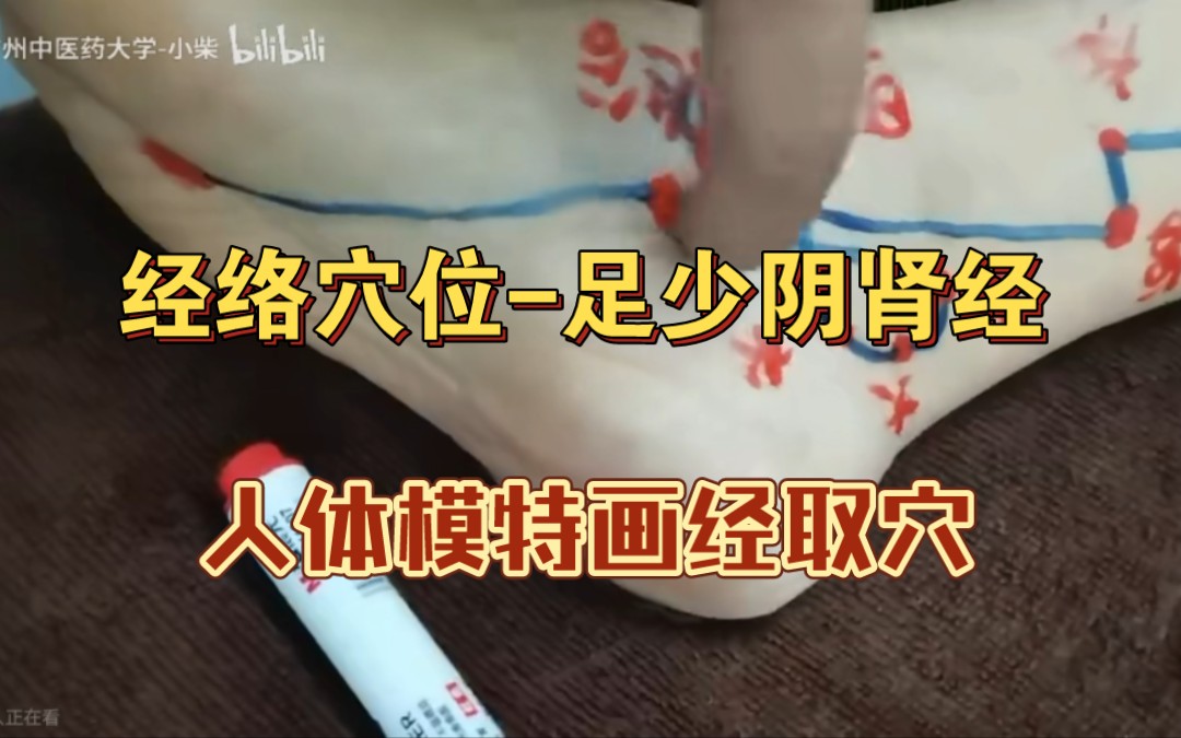 经络穴位-足少阴肾经画经取穴-理论不扎实,辨证不准确,最后实操的结果...