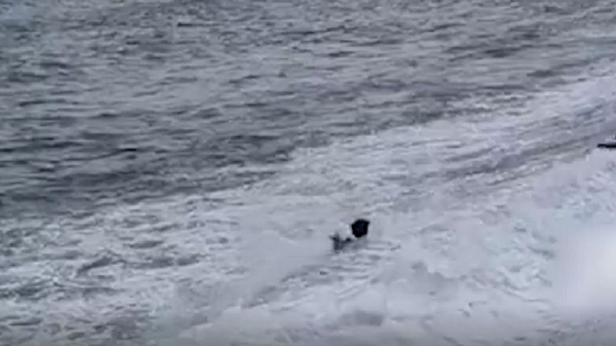 青岛两名游客被海浪卷入海中,现场已有救援人员搜救