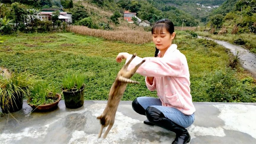 当初不顾家人的反对,怎么都要把流浪猫带回家,现在我后悔了