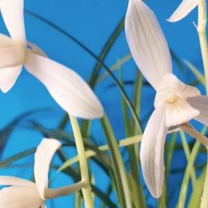 身份証号610104李保江 