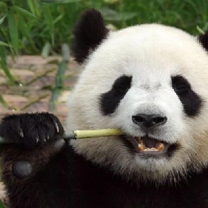 高中生物李 